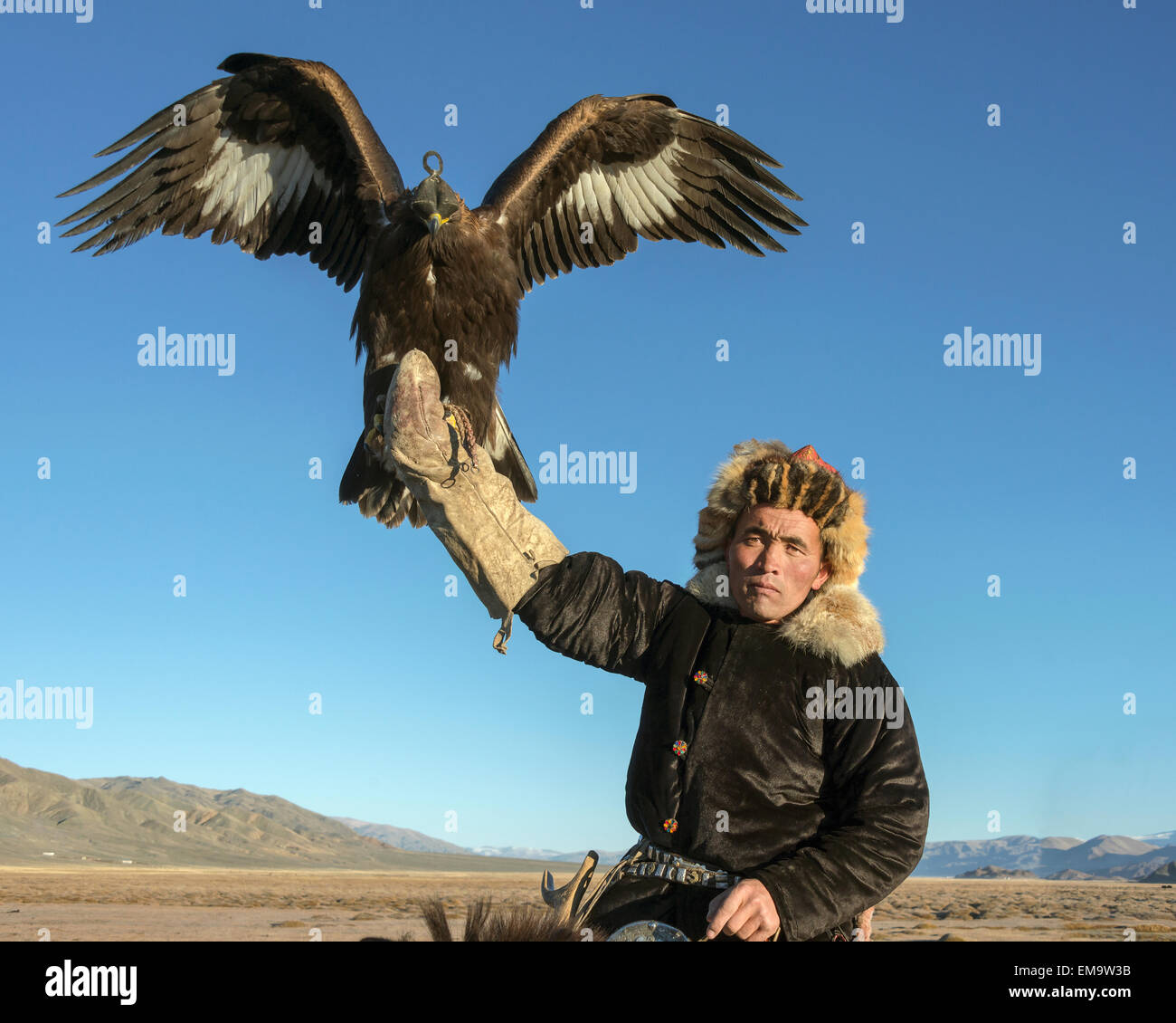 Man and bird posing, Kazakh eagle hunter and his golden eagle, Western ...