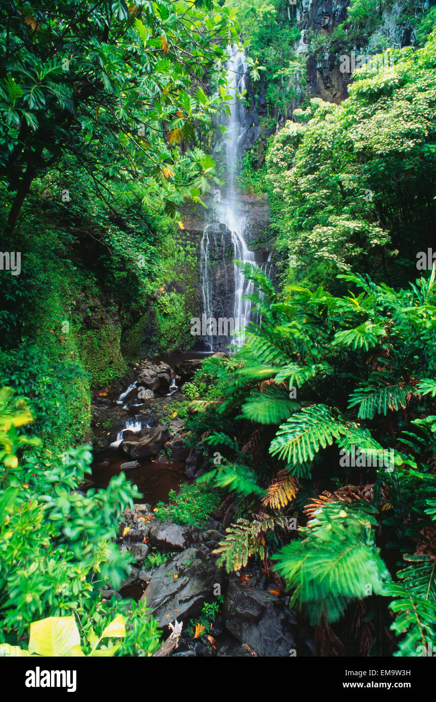 Hawaii, Maui, Hana, Wailua Falls Surrounded By Lush Greenery Stock ...