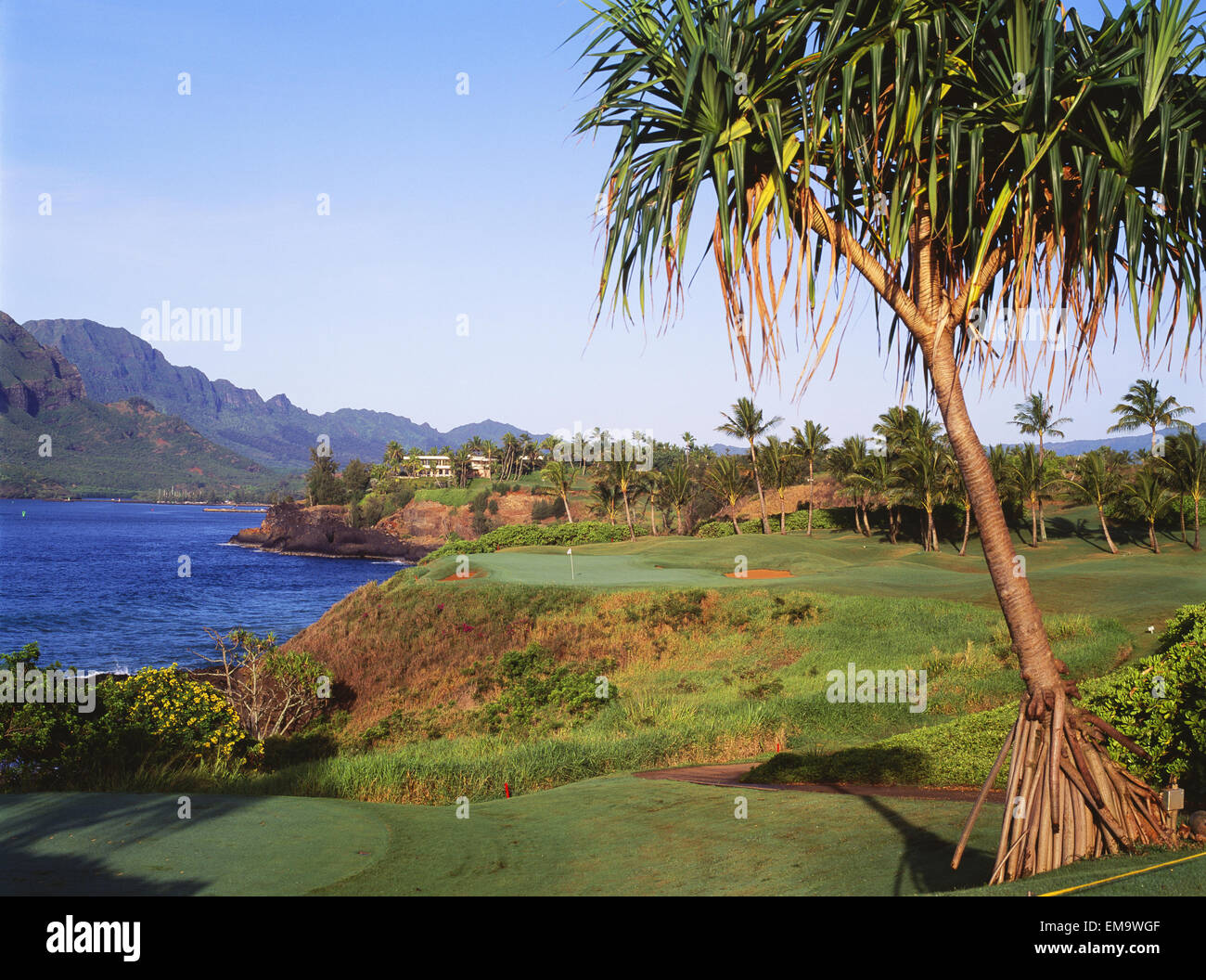 Kiawe tree hi-res stock photography and images - Alamy