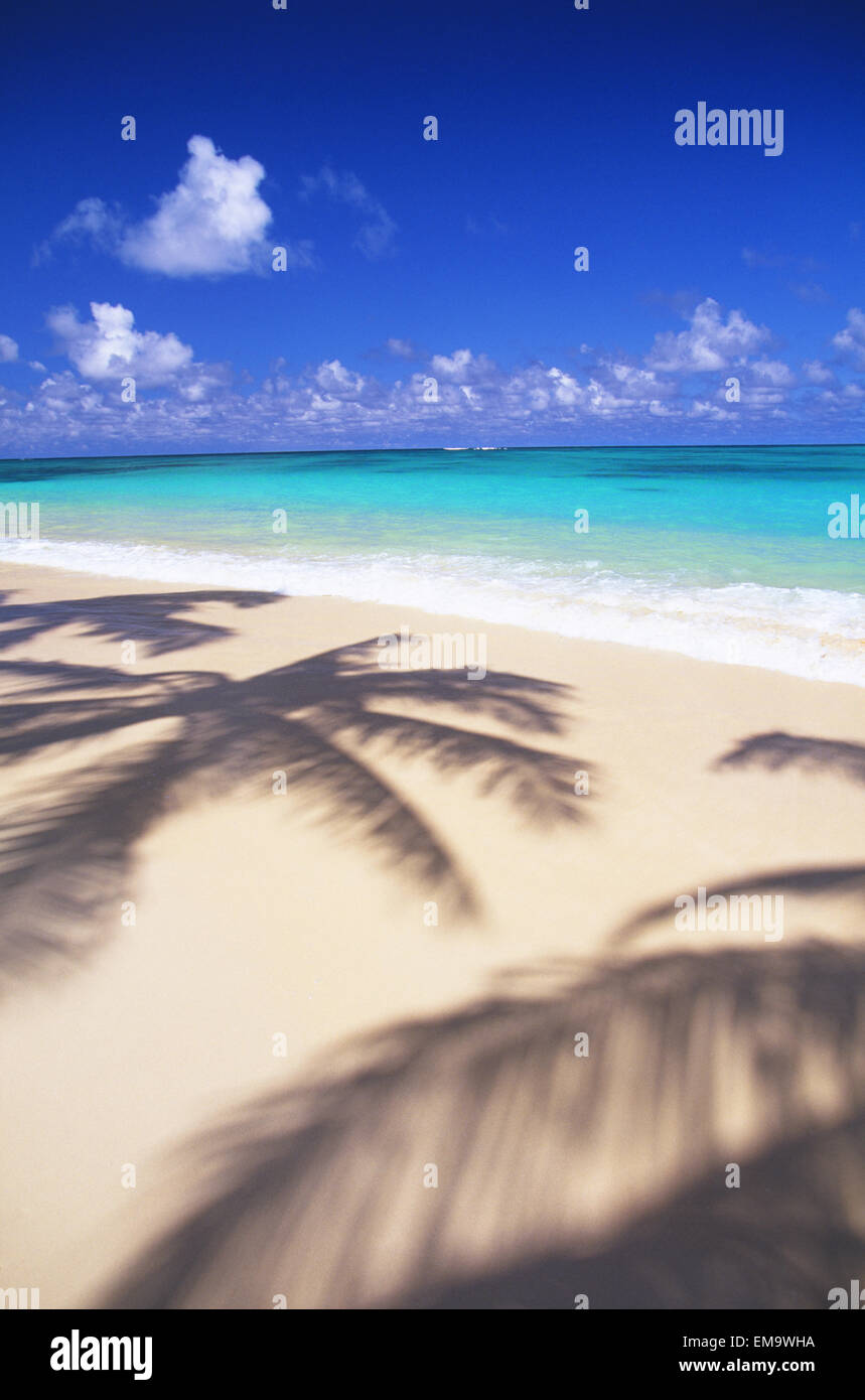 Hawaii, Oahu, Lanikai, Tropical Beach Scene With Palm Shadow On ...