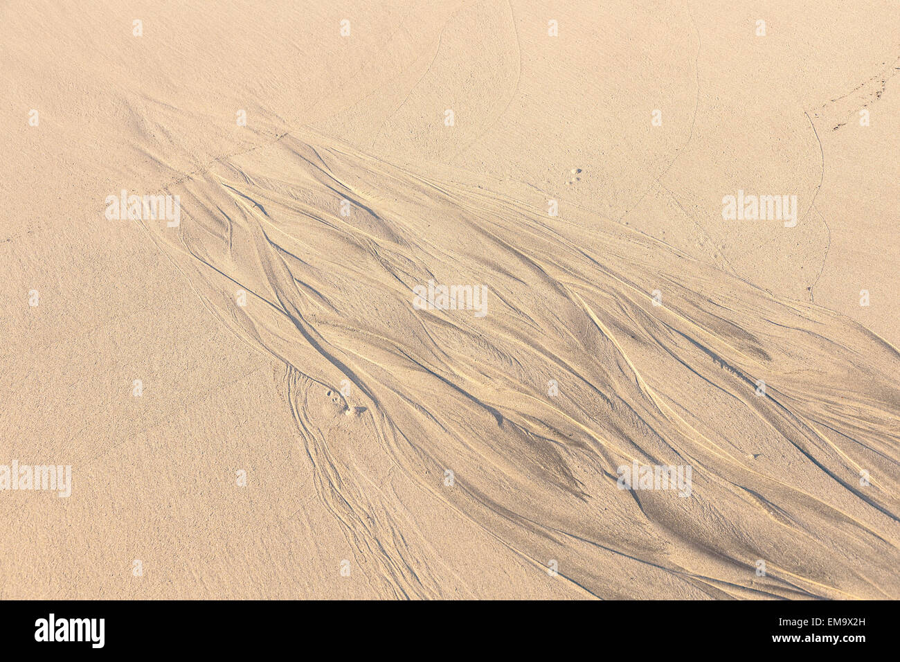 pattern type texture on the sand beach while low tide time Stock Photo ...