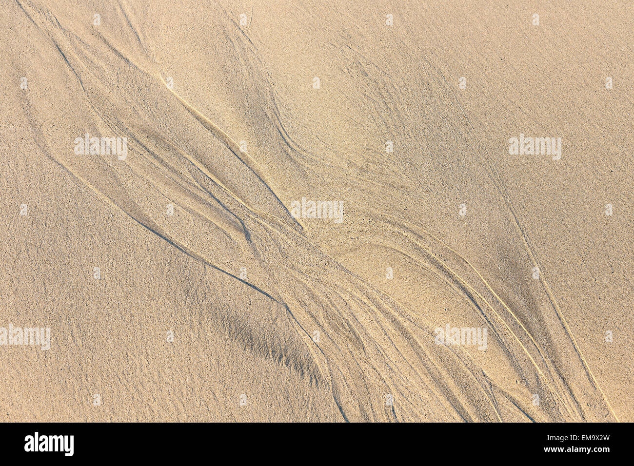 pattern type texture on the sand beach while low tide time Stock Photo ...