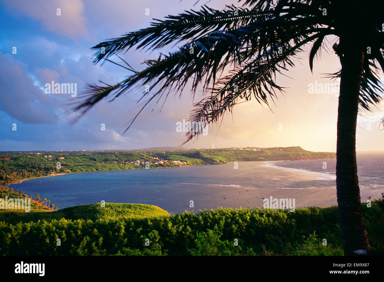 Guam, View Of Pago Bay From University Of Guam, Silhouette Of Palm Tree ...