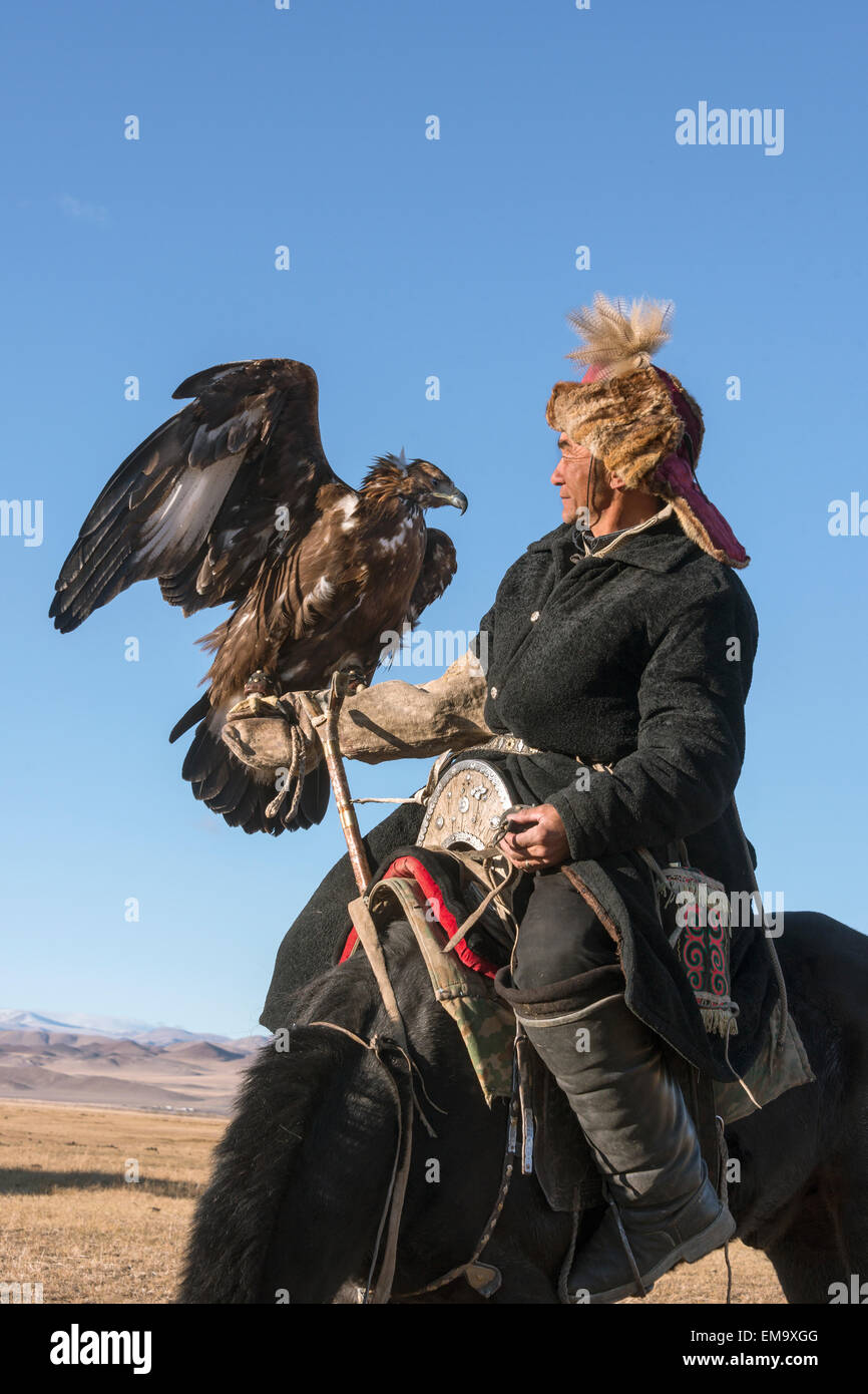 The bond between and eagle trainer and his golden eagle, near Olgii ...