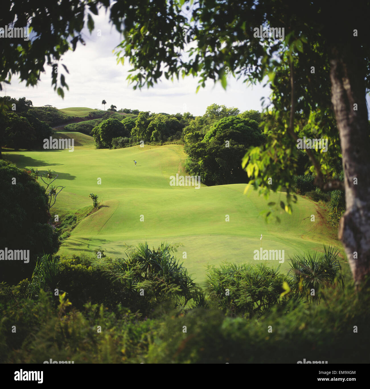 Hawaii prince resort hi-res stock photography and images - Alamy