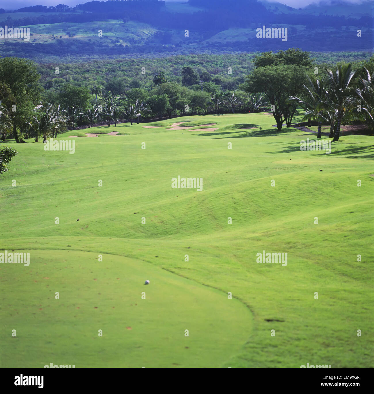 Hawaii, Maui, Makena Golf Club, Rolling Green Fairway Stock Photo - Alamy