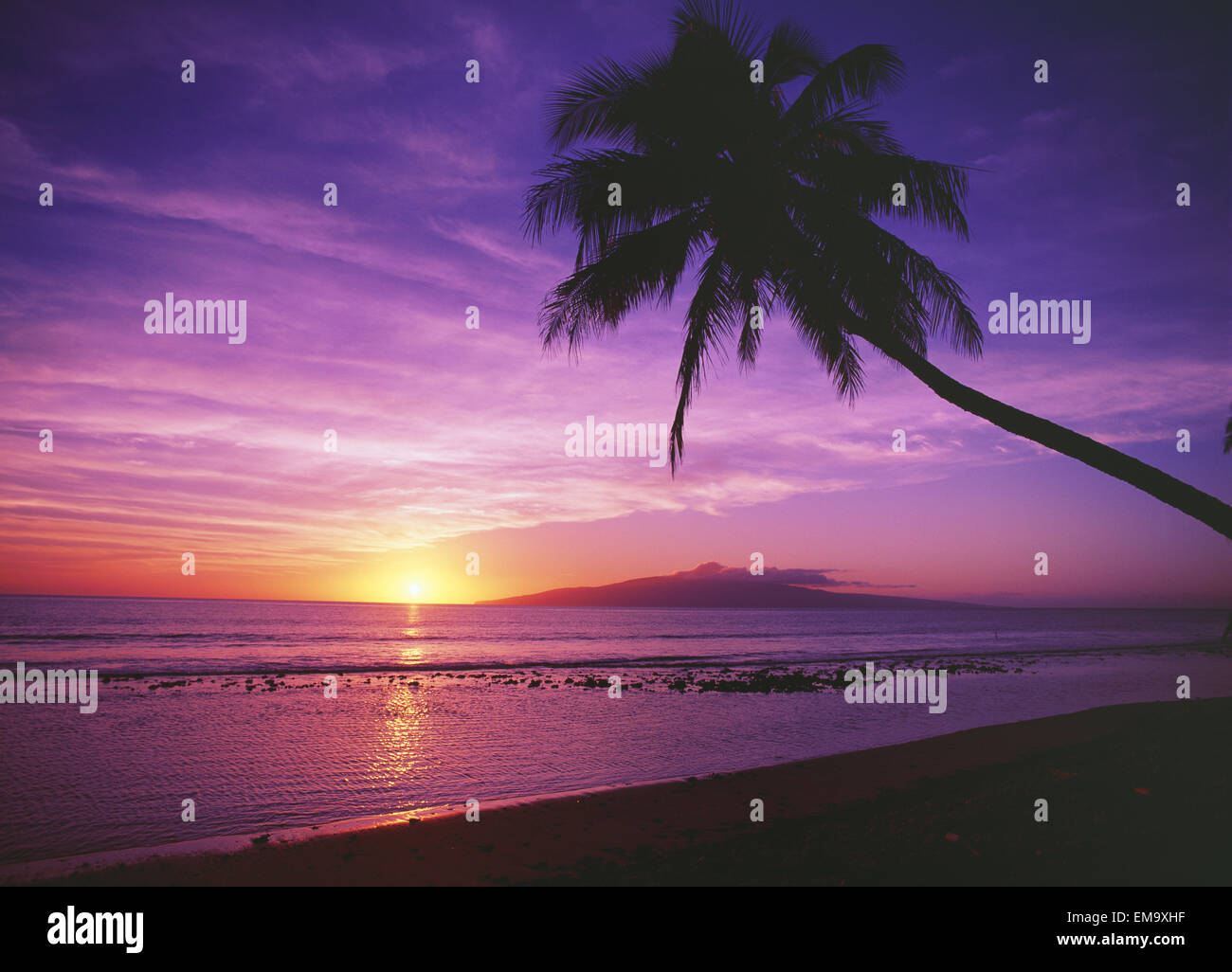 Hawaiian Purple Sunset 🌈 Island Magic Moment Tag A Sunset Lover