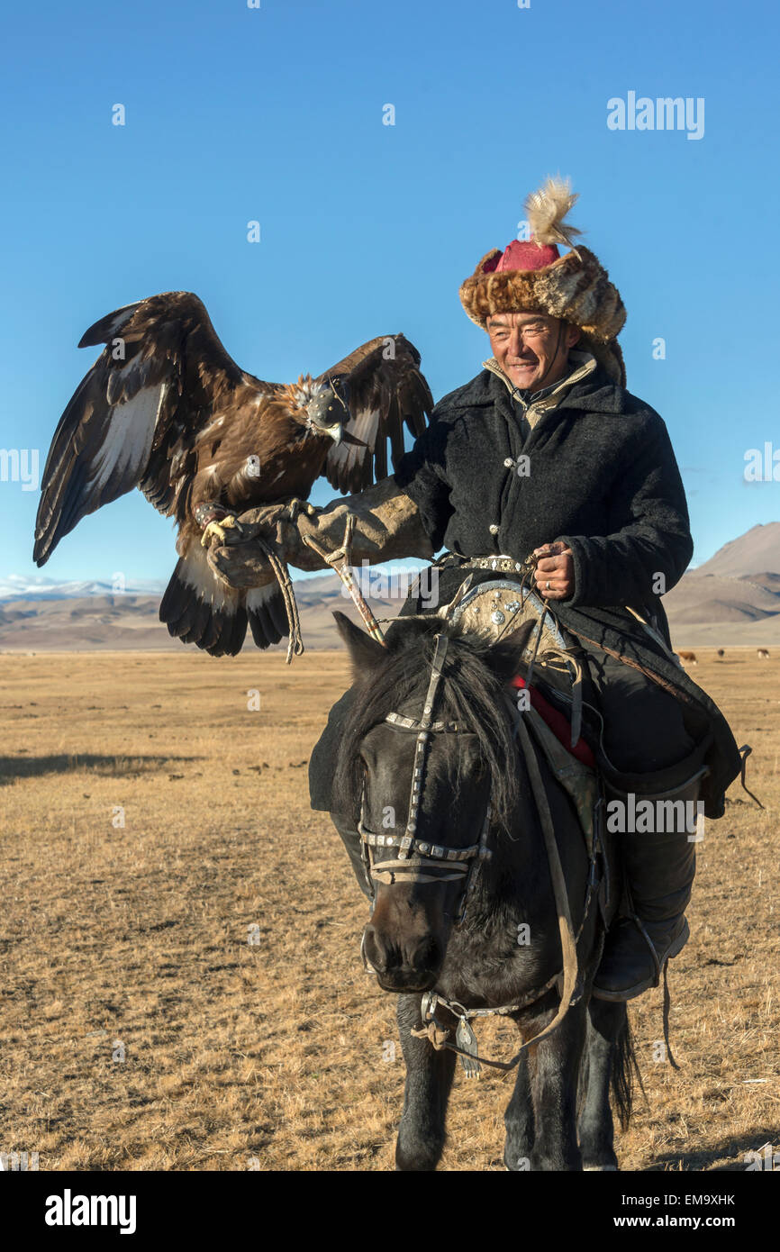 Portrait of an eagle trainer on his horse, holding his hooded golden ...