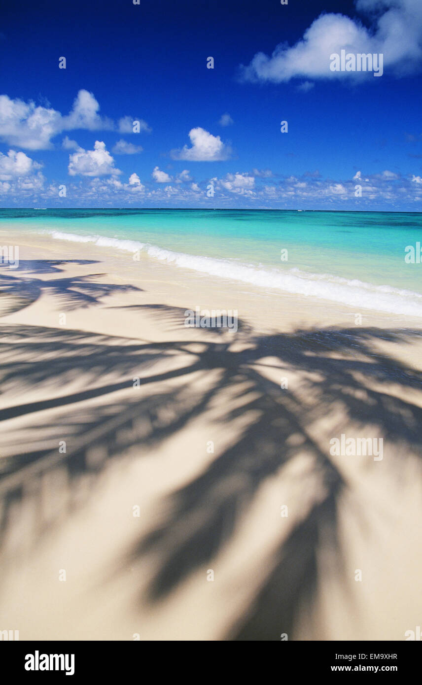 Beach Scene With Palm Shadow On Shoreline Sand, Tropical Stock Photo ...