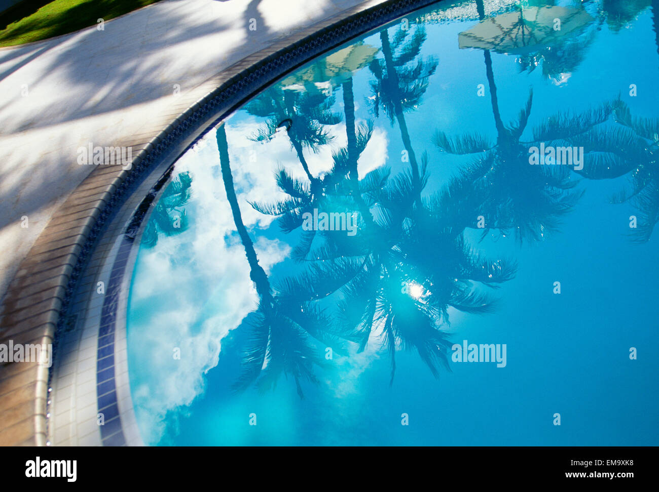 Palm Tree Reflections On Pool Water Surface Stock Photo - Alamy