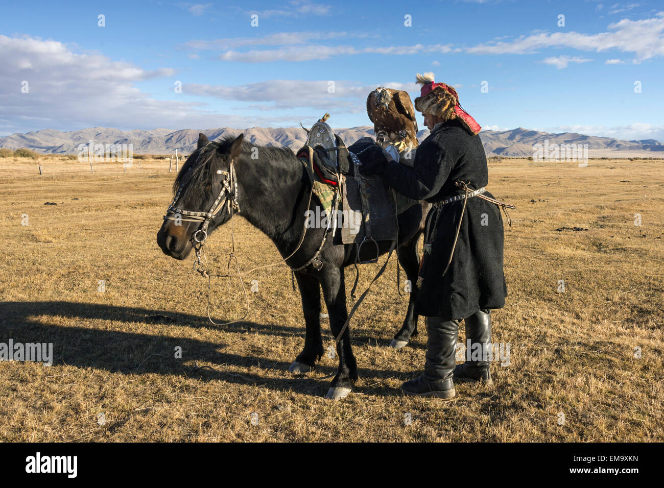 Mongolian horse man eagle hi-res stock photography and images - Alamy