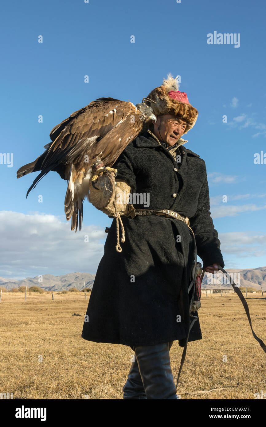 Eagle trainer carrying his eagle to his horse, near Olgii, Western ...
