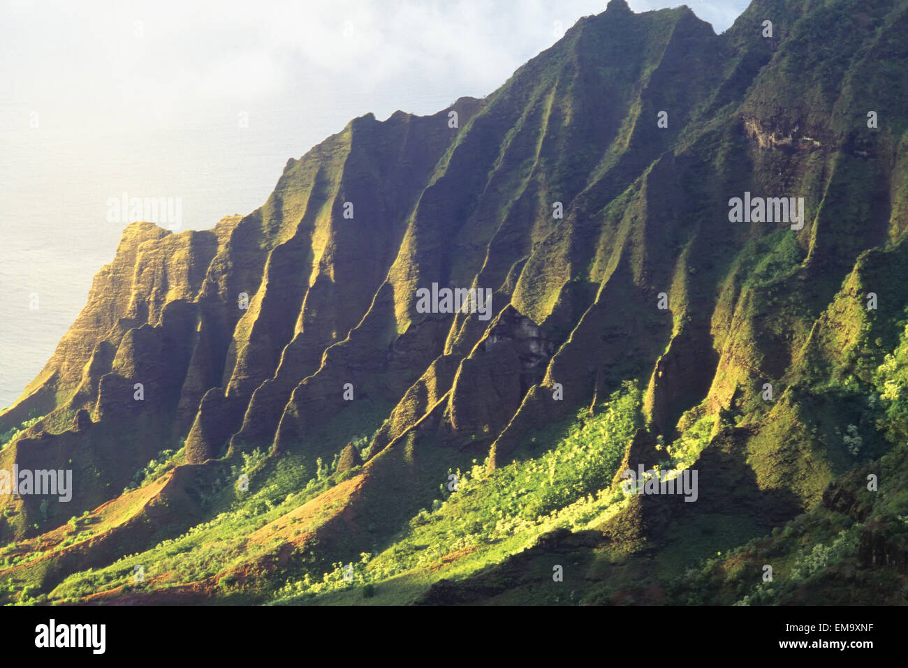 Hawaii, Kauai, Napali Coast, Kokee State Park, Kalalau Valley Viewpoint ...