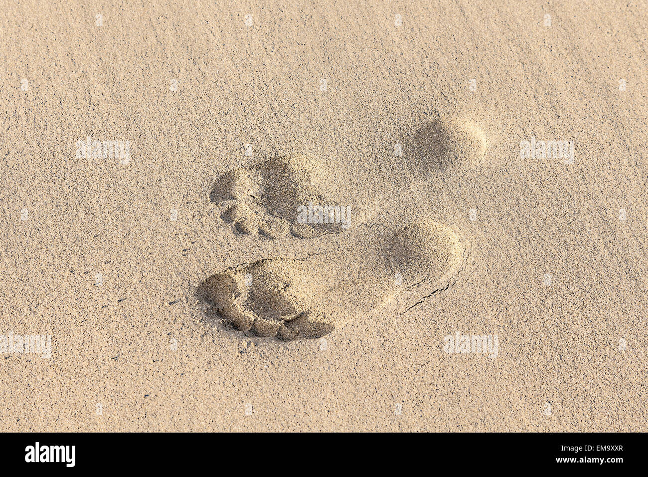 Sand follow footprints beach human hi-res stock photography and images ...