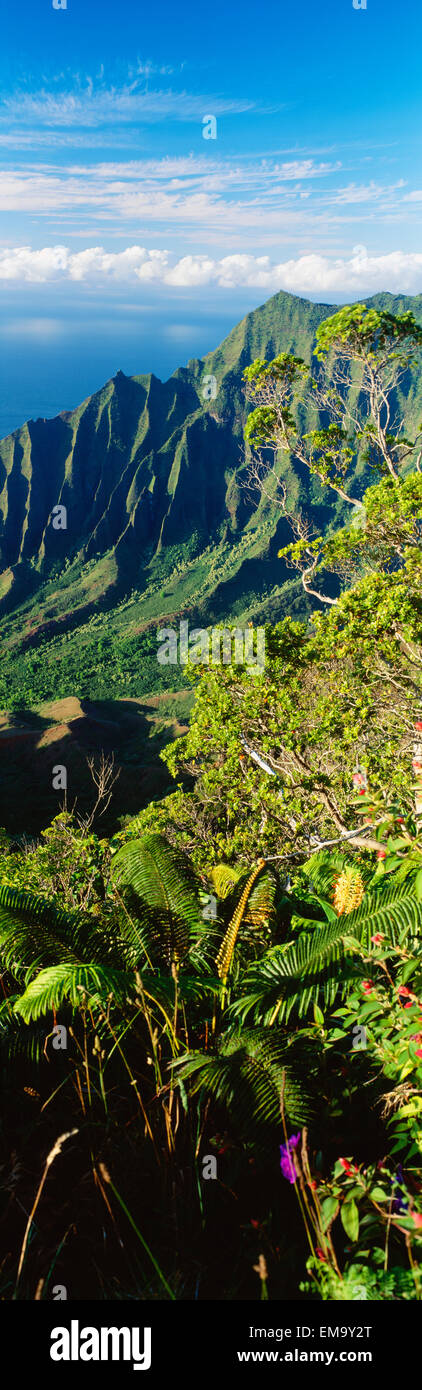Hawaii, Kauai, Kalalau Valley Beautiful Green Cliffs, Lush Tropical ...