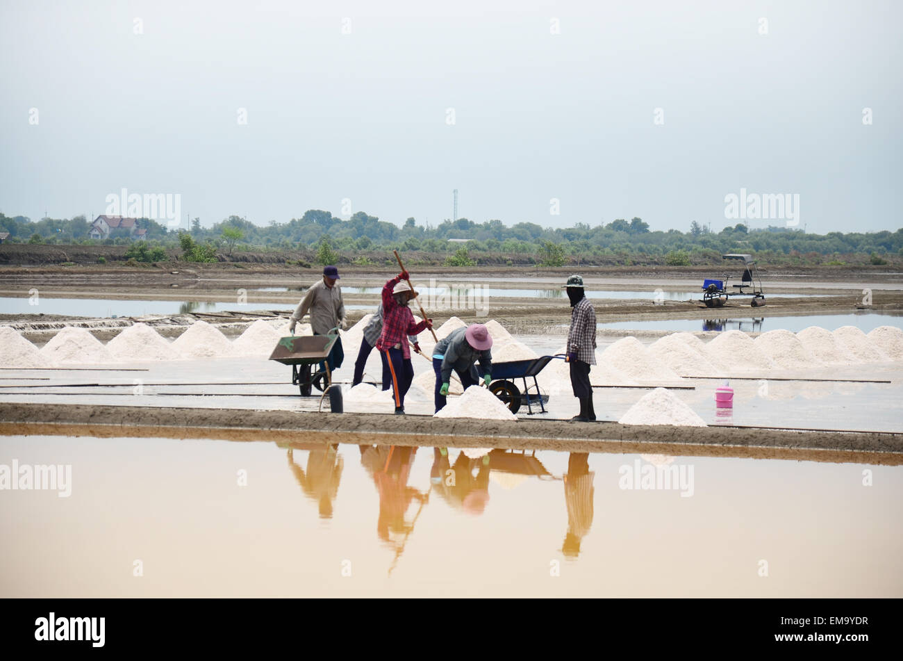 Salt farming hi-res stock photography and images - Alamy