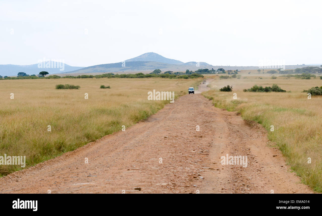 A road to game hunt Stock Photo - Alamy