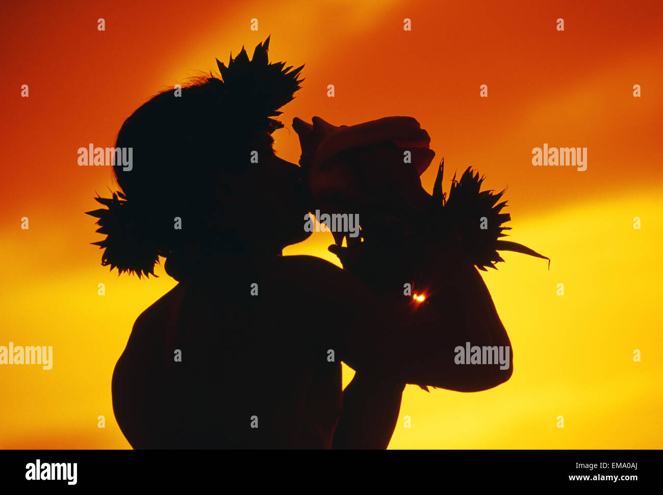 Hawaii, Maui, Napili, Silhouette Of Man Blowing Conch Shell At Sunset ...