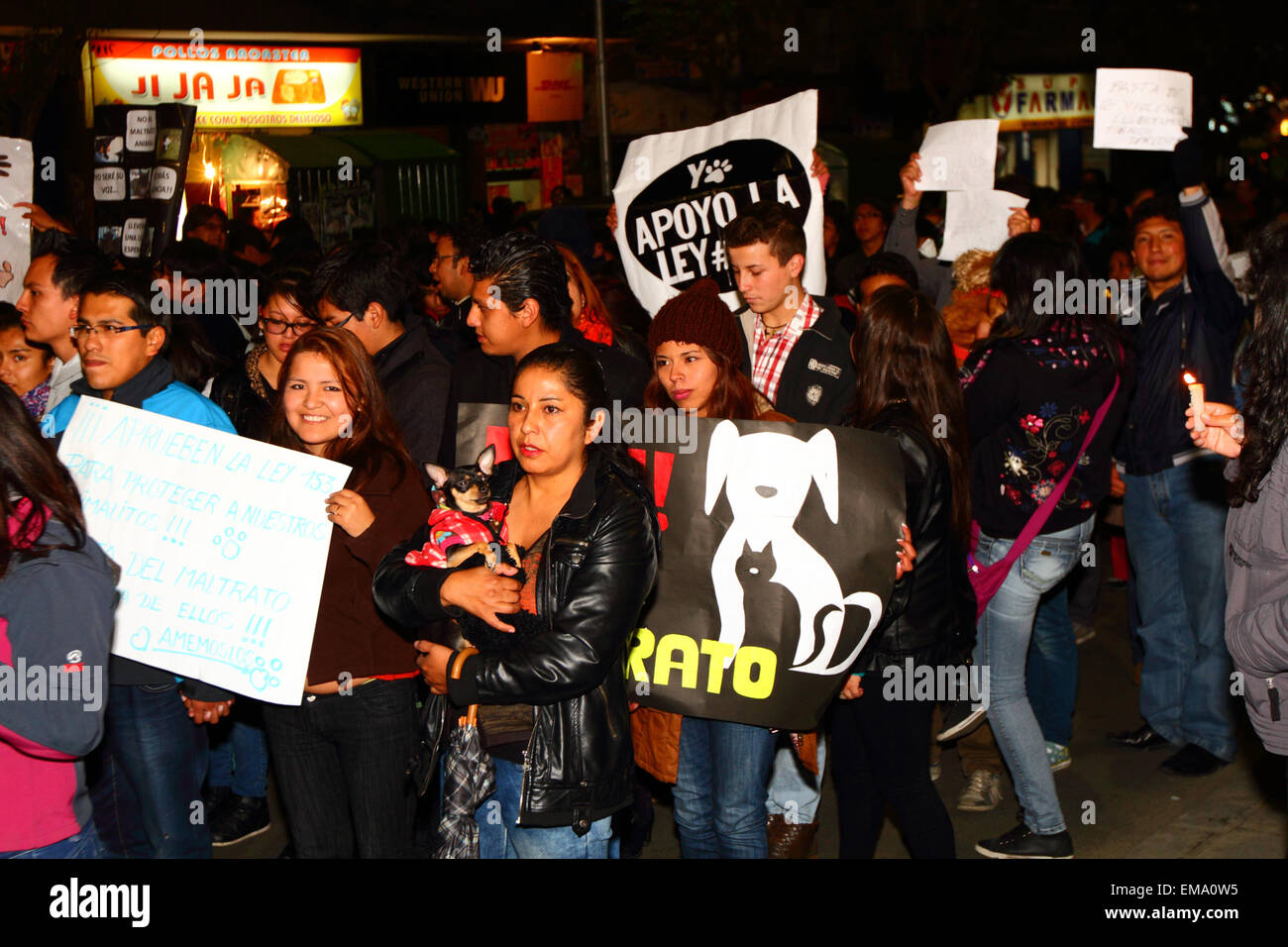 Female animal rights activists hi-res stock photography and images - Alamy