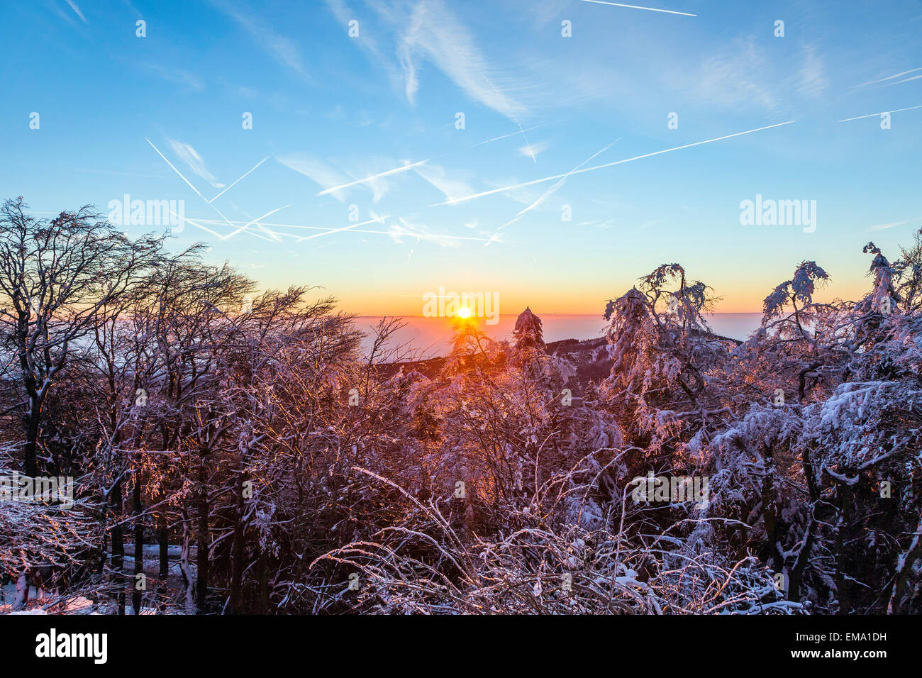 sunrise under the winter calm mountain landscape with beautiful fir ...