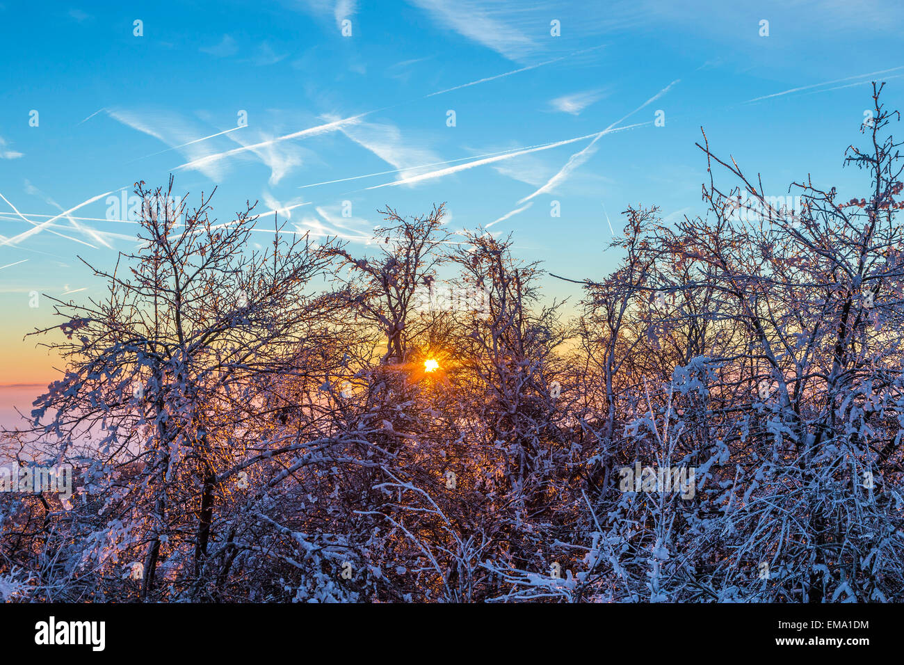 sunrise under the winter calm mountain landscape with beautiful fir ...