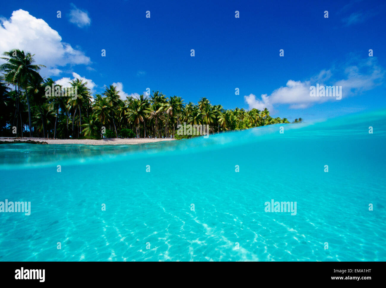 French Polynesia, Roroia Atoll, Over/Under View Of Turquoise Ocean ...