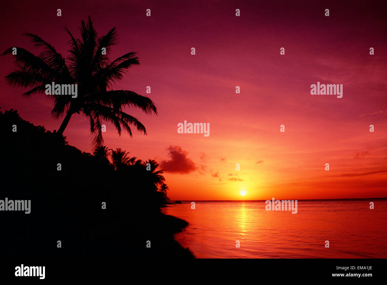Guam, Pago Bay, Sunrise And Palm Tree, Bright Pink Sky Stock Photo - Alamy
