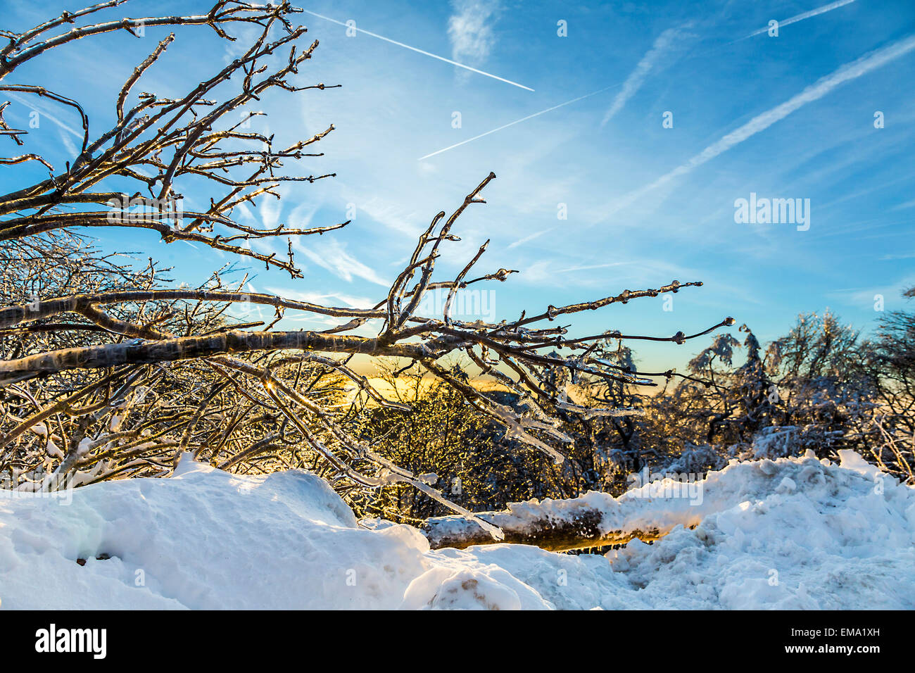 sunrise under the winter calm mountain landscape with beautiful fir ...
