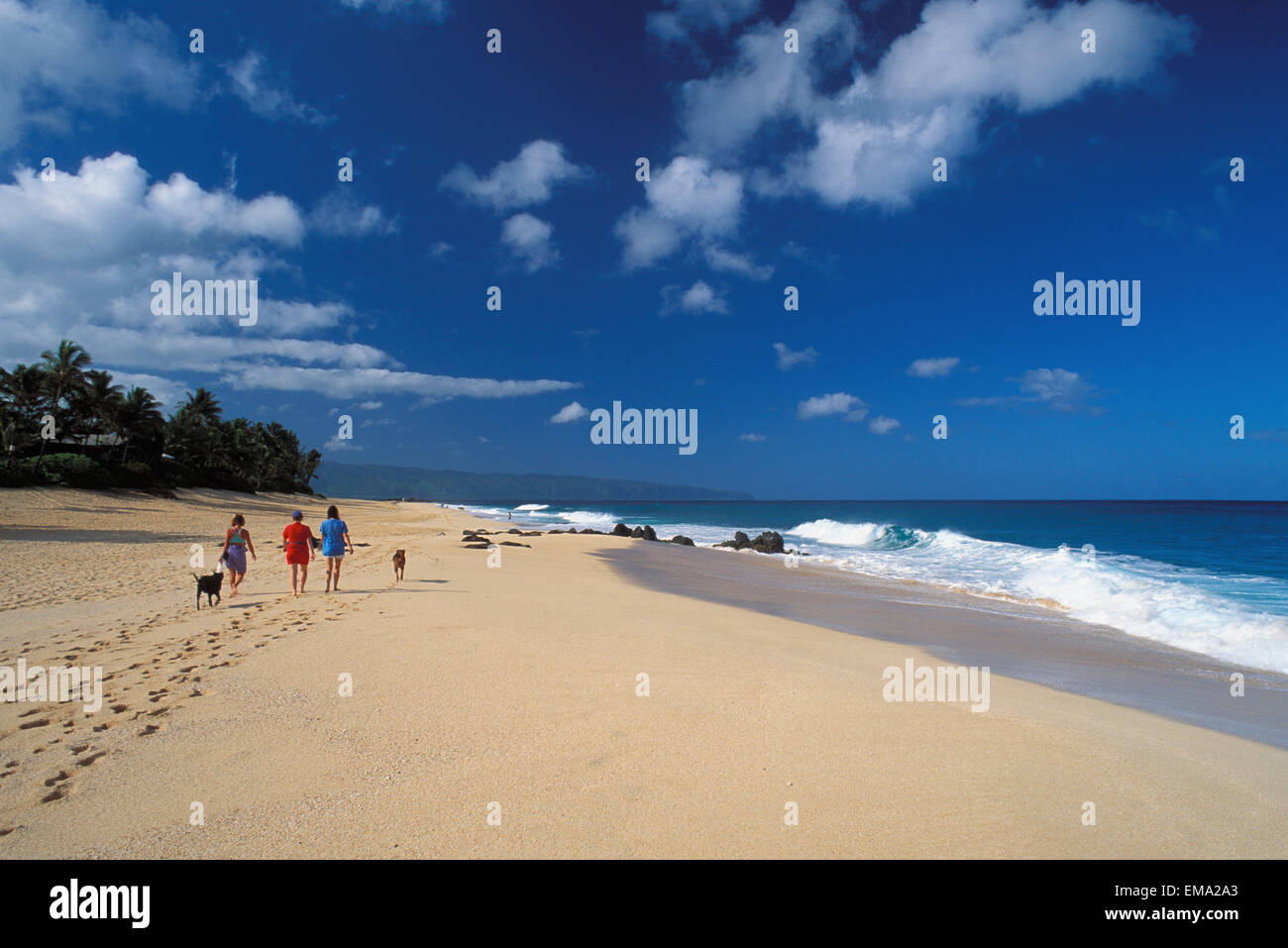 Hawaii, Oahu, North Shore, Ehukai Beach, Women Walking Dogs, View From ...