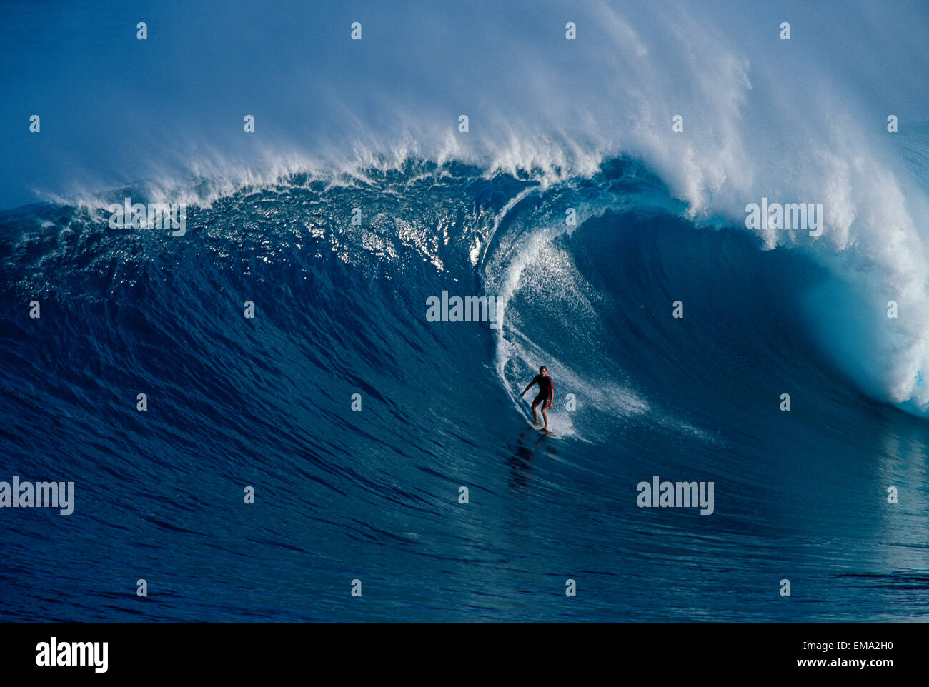 Hawaii large curling blue wave hi-res stock photography and images - Alamy