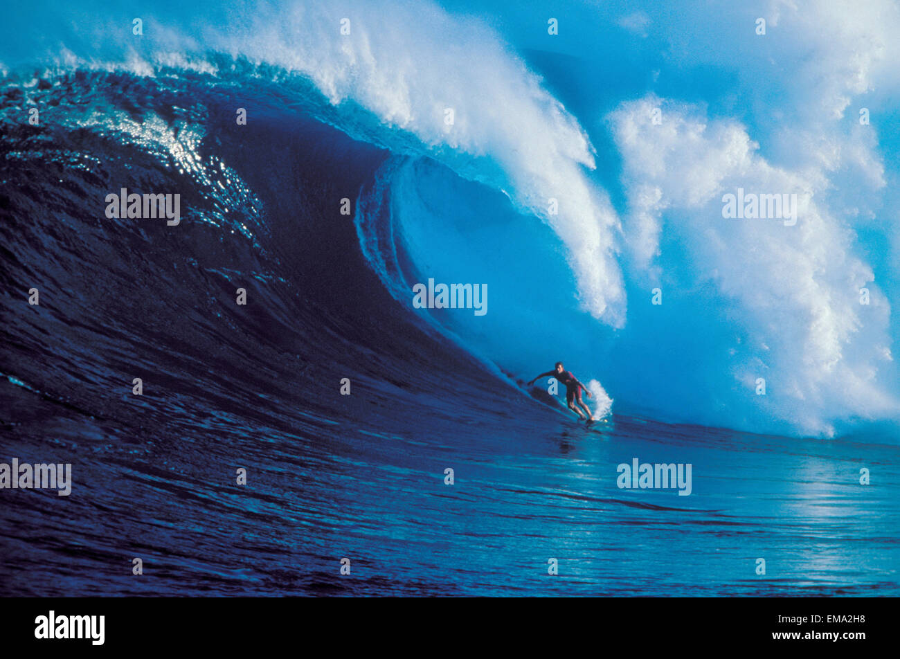 Hawaii, Maui, North Shore, Buzzy Kerbox Surfs Huge Wave Crashing Behind ...