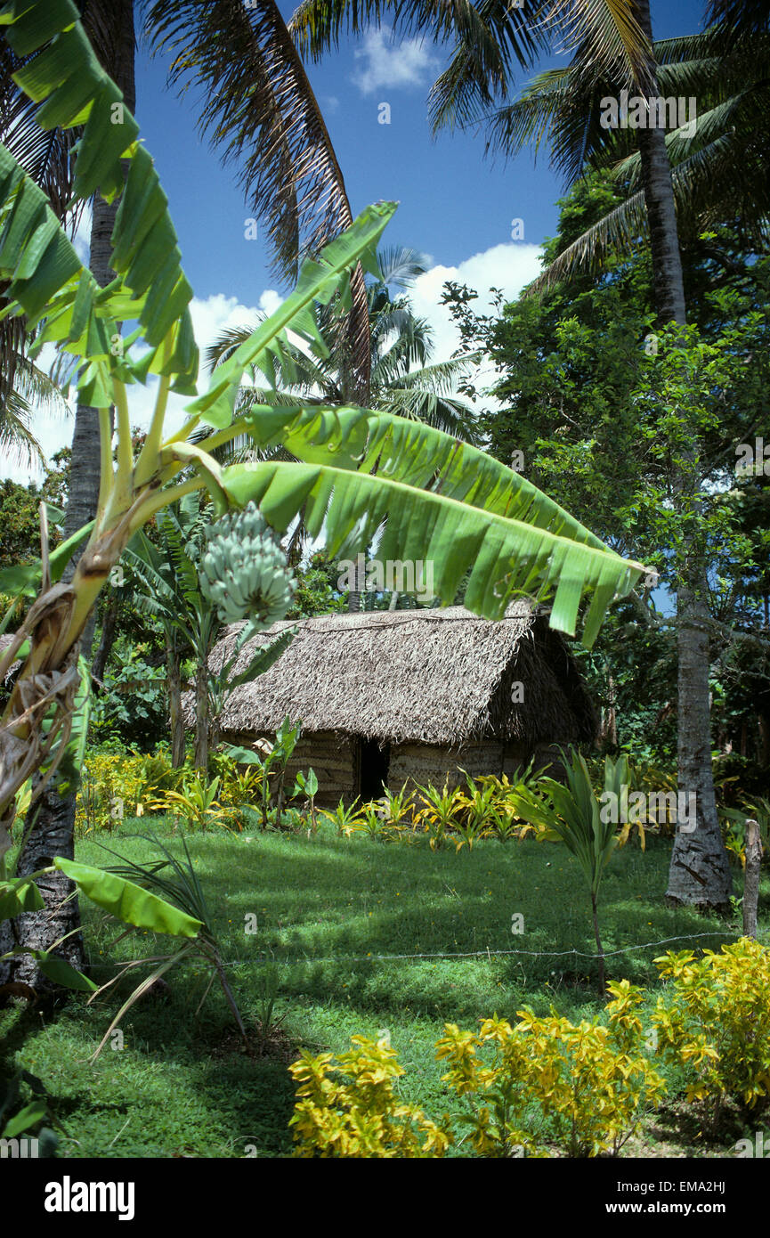 Tonga, Thatched Hut Home Surrounded With Greenery A67F Stock Photo - Alamy