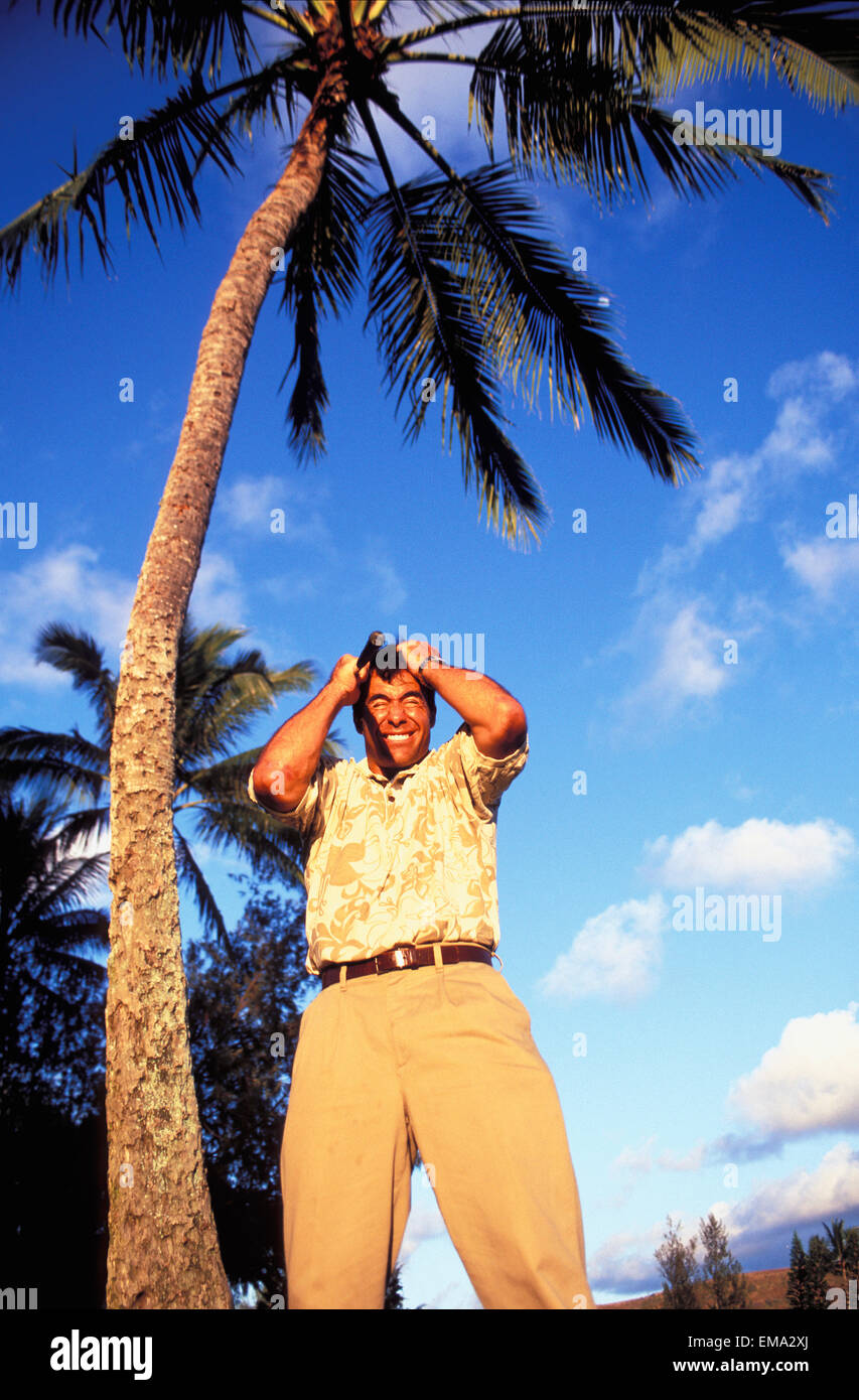 Hawaii, Upward Angle, Stressed Angry Golfer. Blue Sky And Palm Tree ...