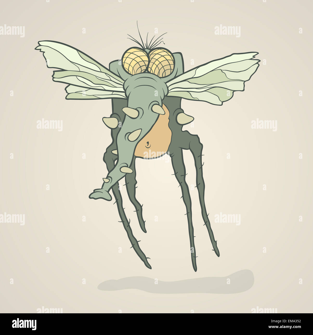 Fangs proboscis wings fly legs fierce hi-res stock photography and ...