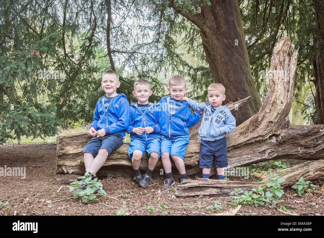 boys, brother, blue, woodland, log, tree Stock Photo - Alamy