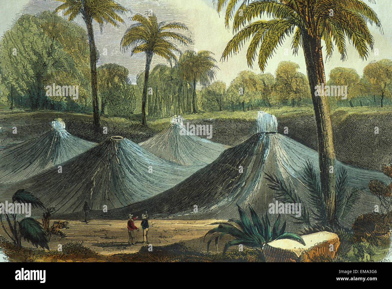 C.1850 Drawing Of Hawaiian Volcanoes With People At Base, Palms And ...