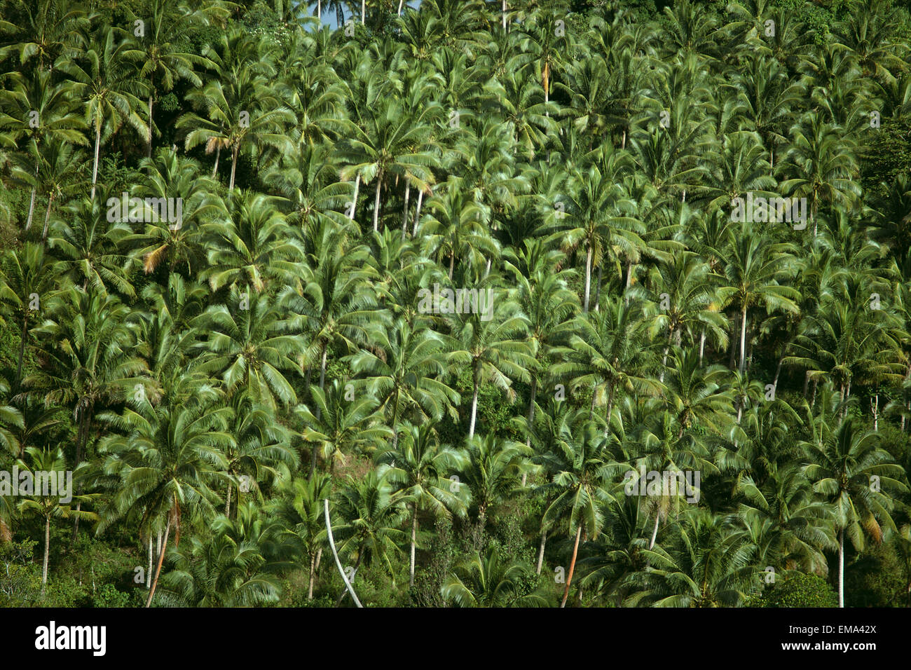 Lau islands fiji hi-res stock photography and images - Alamy