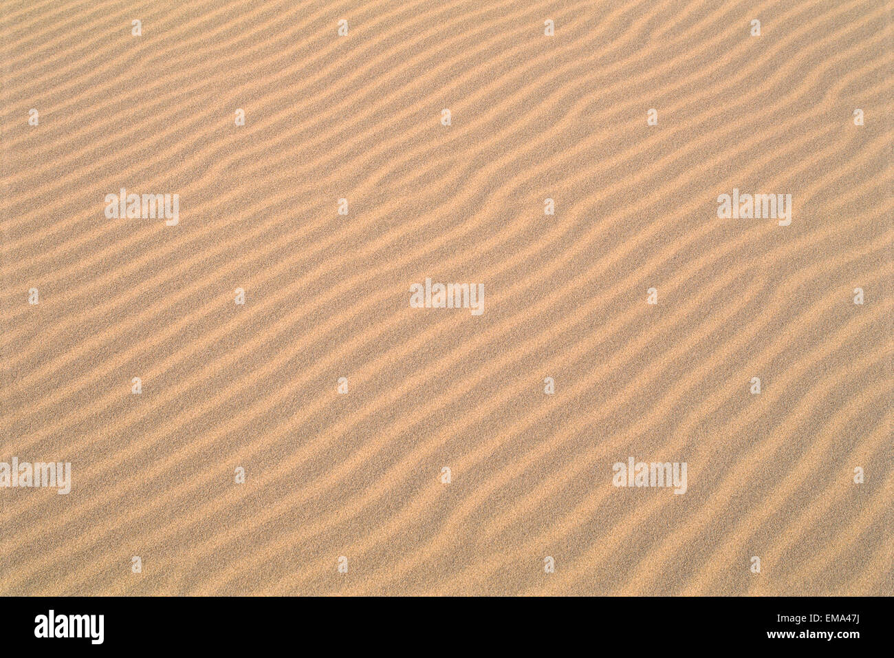 Oregon Dunes National Recreation Area Sand Patterns, Detail A33F Stock ...