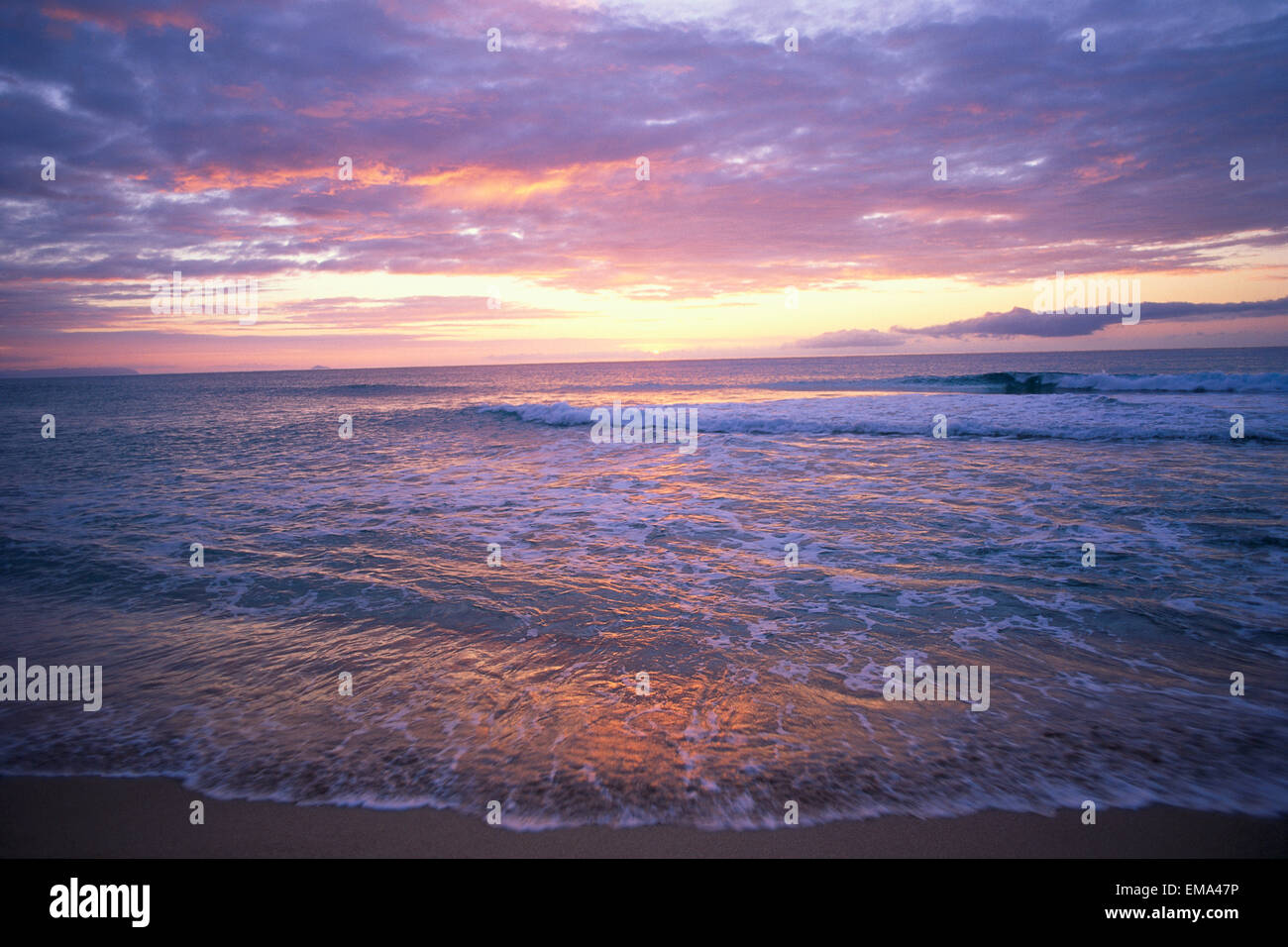 Hawaii Beach Sunset Pink