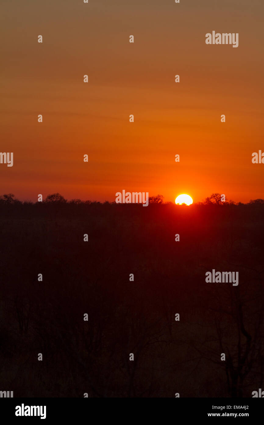 Safari south africa hi-res stock photography and images - Alamy
