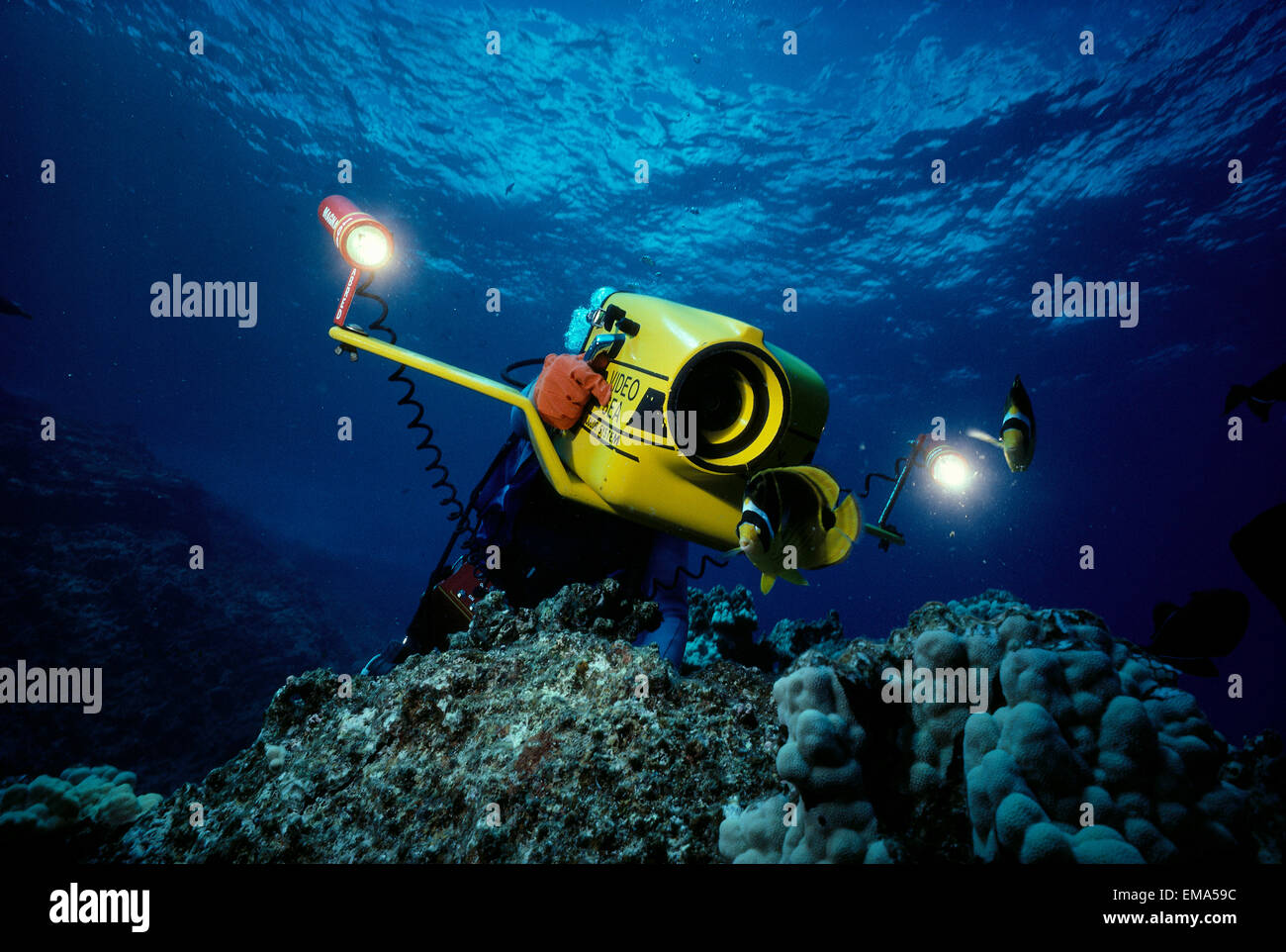 Hawaii, Diver With Underwater Video Camera Over Coral Reef Surface ...
