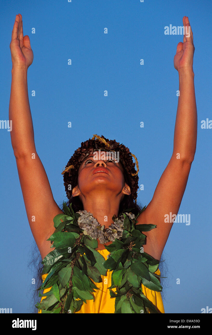 Maile Leis From Hawaii