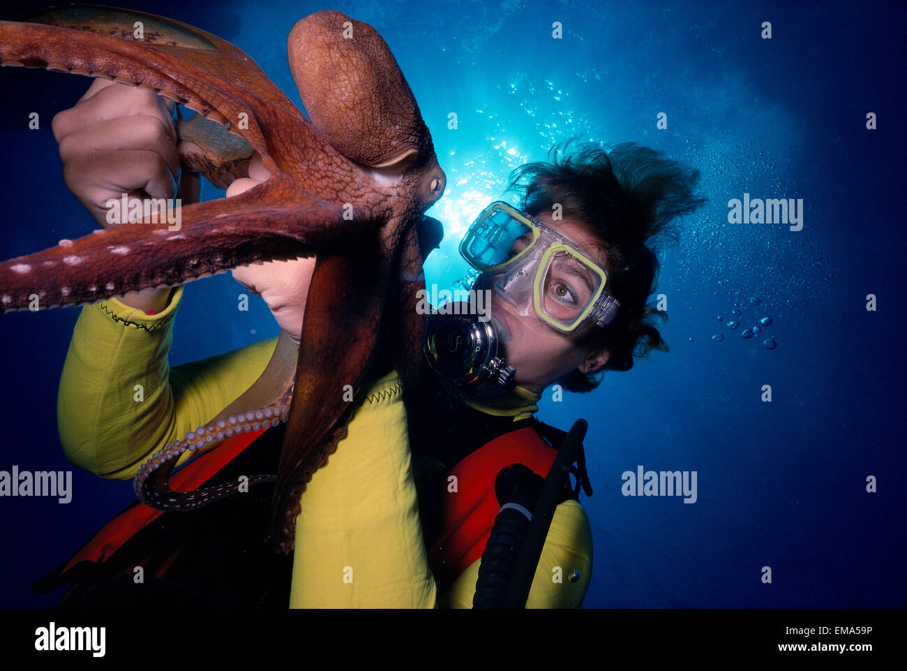 Hawaii, Close-Up Front View Woman Scuba Diving With Octopus, Sunburst ...