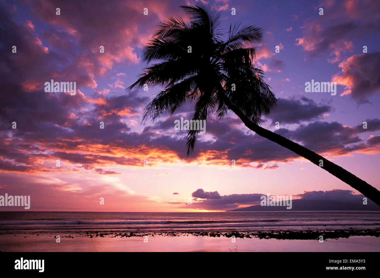 Hawaii Sunset Purple