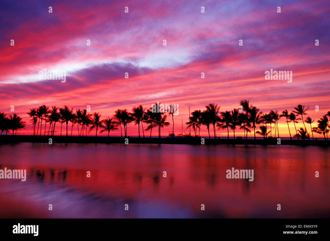Hawaii, Big Island, Sunset At Anaeho'omalu Fishpond, Silhoutted Palm ...