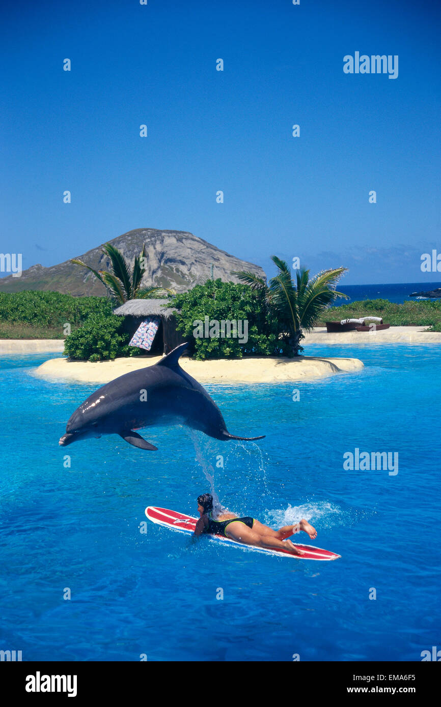 Hawaii, Oahu, Sea Life Park, Woman Lays On Surfboard, Dolphin Jumping ...