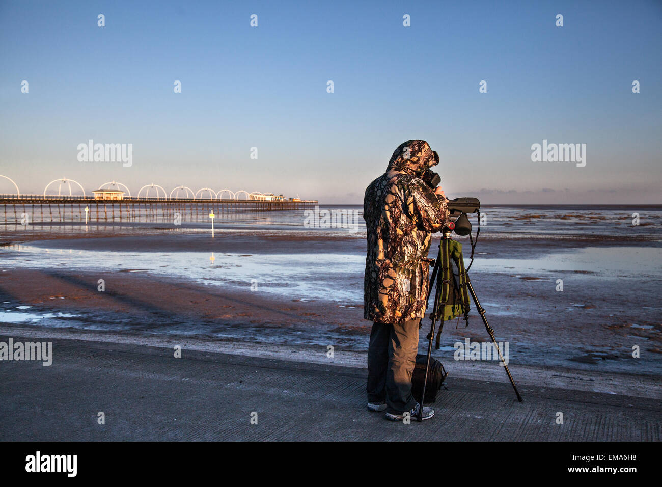 Man watching birds through binoculars hi-res stock photography and ...
