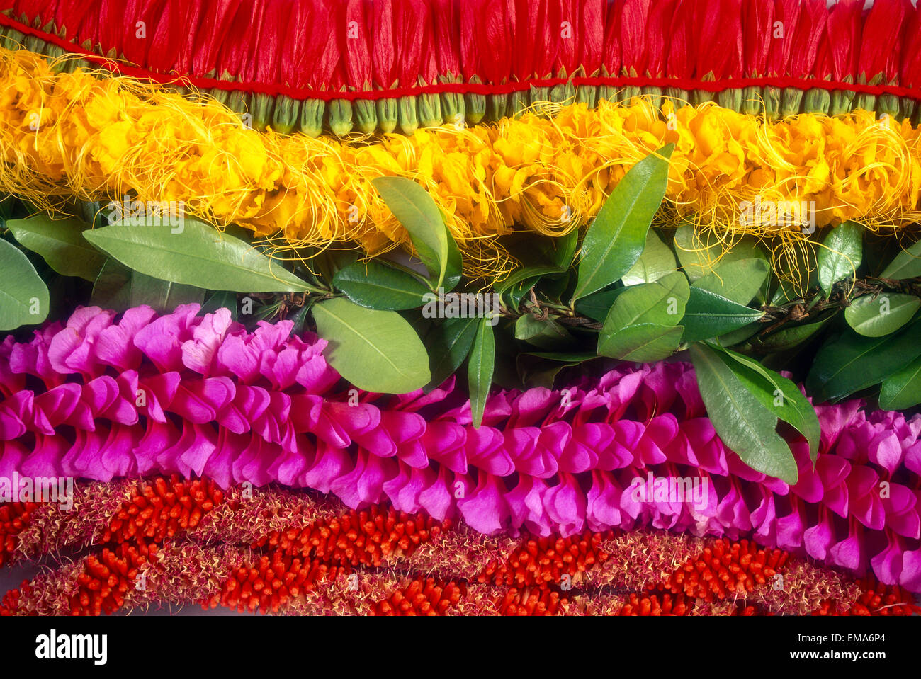 Hawaii, Bright And Colorful Flower Leis B1593 Stock Photo - Alamy