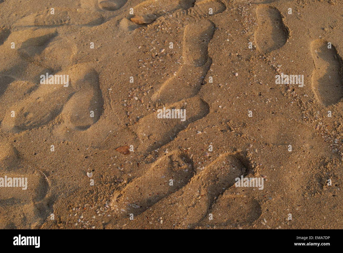 Dark sunset time of day on the beach Stock Photo - Alamy