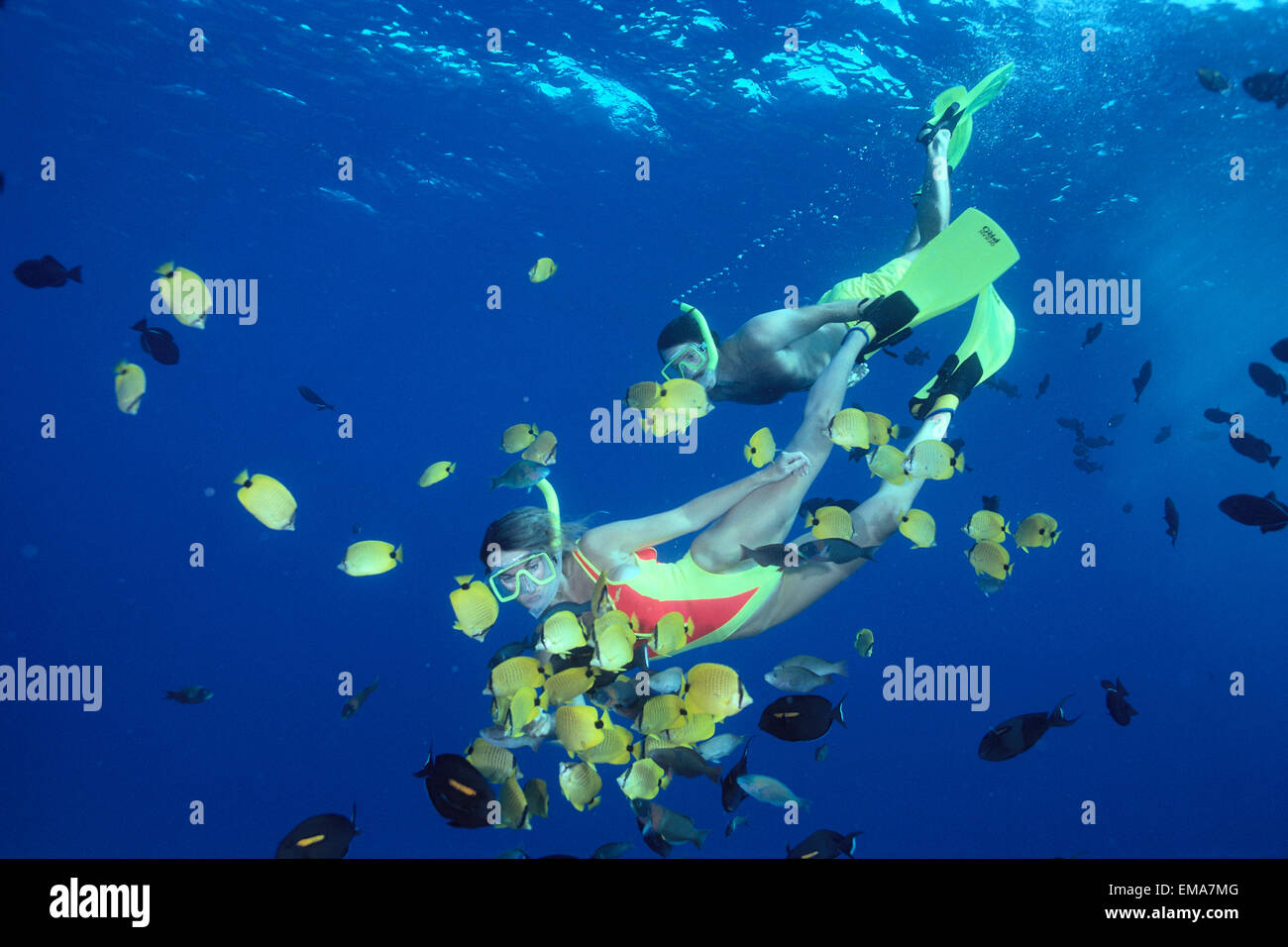 Hawaii, Couple Snorkel In Clear Blue Ocean, Feed Fish Below Surface ...